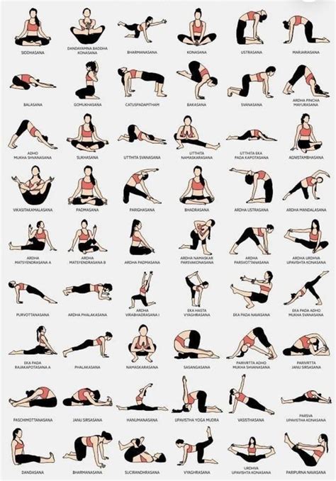 Image result for Exercise Positions