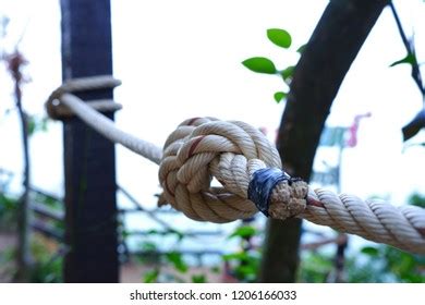 Image result for Spring Pole Knot