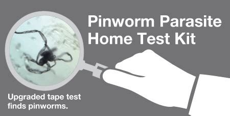 Image result for Pinworm Tape Test Procedure