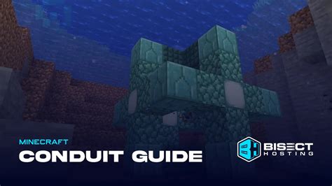 Image result for Minecraft Conduit Real