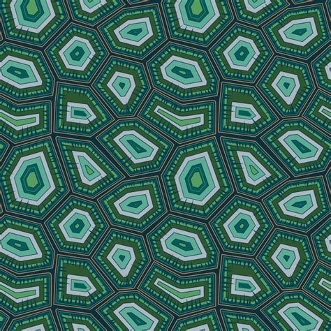 Image result for Turtle Shell Pattern