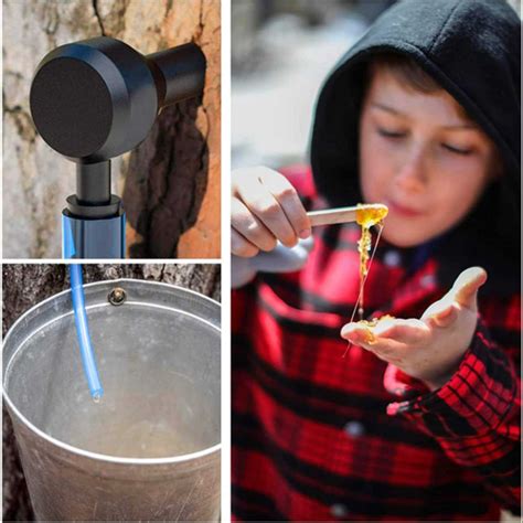 Image result for Tree Tapping Kit