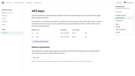 Image result for Pandas Ai Openai Code API Key