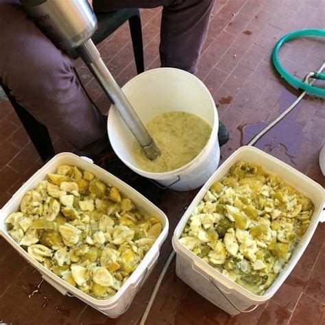 Image result for Lemon Pectin