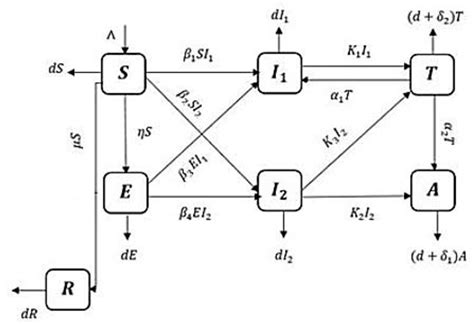 Image result for Additive Interaction Model