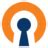 Image result for OpenVPN GUI Icon