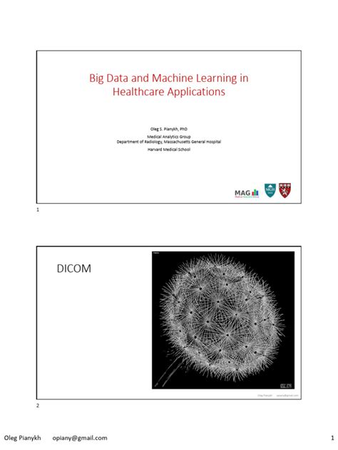 Image result for Image Processing Algorithm for DICOM Images