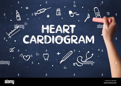 Image result for Basic Principles of Biomedical Drawing