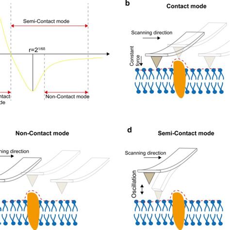 Image result for AFM Force Distance Graph