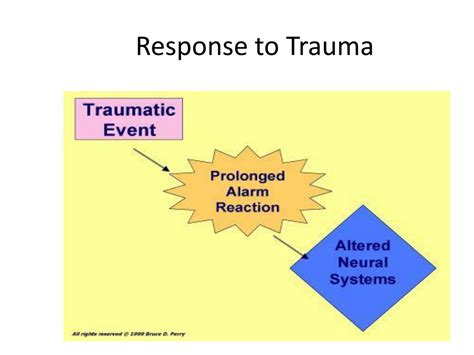 Image result for Developmental Trauma Bruce Perry