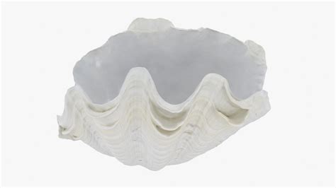 Image result for 2DS Clam Shell Mod