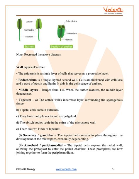 Image result for Class 12 Botany Chapter 1