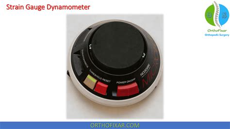 Image result for Manual Muscle Test