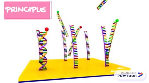 Image result for Genomic Microarray