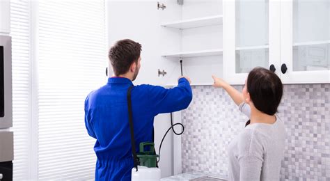 Image result for Pest Control Tips