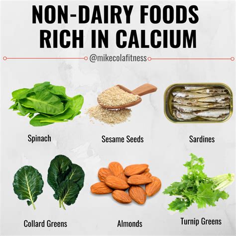 Image result for Good Calcium Sources