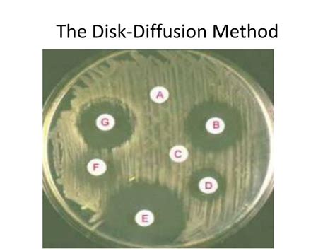 Image result for Disadvantages of Using Disk Diffusion Method