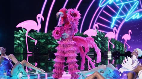 Image result for Flamingo Masked Singer Reveal
