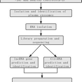 Image result for HyperStudy Design of Experiments
