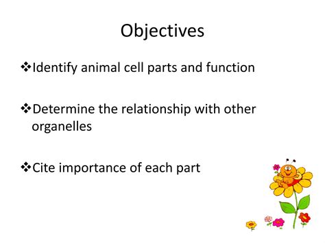 Image result for Animal Cell Structure and Function