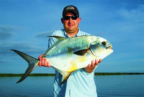 Image result for Reef Fishing Tips