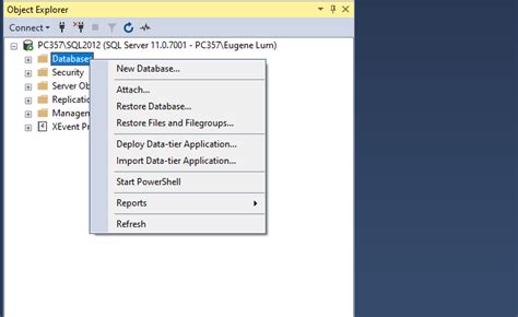 Image result for SSMS Create Copy of Database