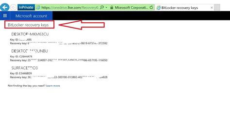 Image result for BitLocker Key Example