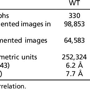 Image result for Image Processing Algorithm Statistics Example