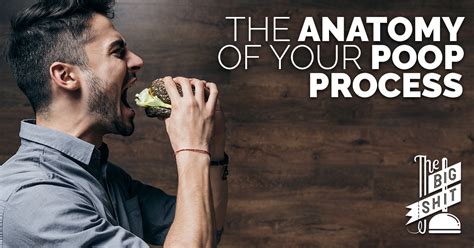 Image result for How Create Poop Proro