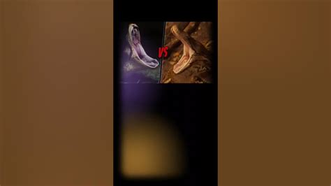 Image result for Green Anaconda vs Python