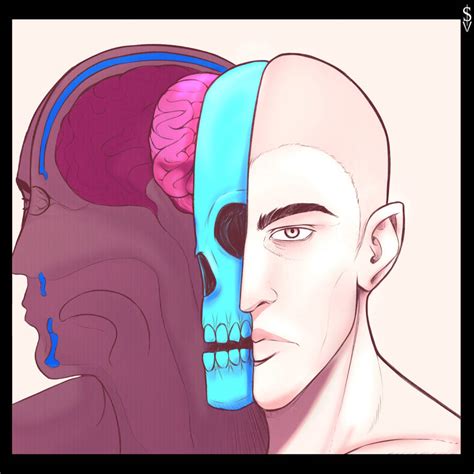 Image result for Dissection Cartoon