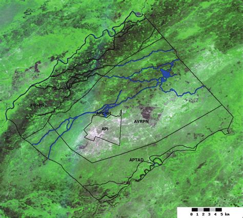 Image result for API Area