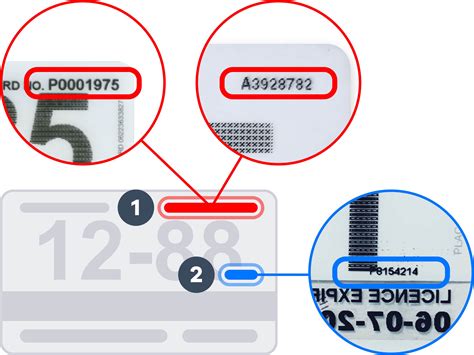 Image result for License Card Code 10