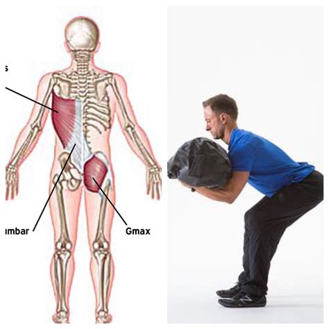 Image result for Dynamic Sandbag Exercises