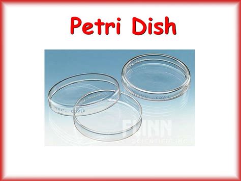 Image result for Meterstick Science Experiments