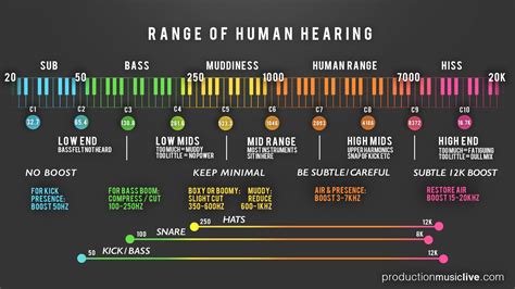 Image result for Frequency Range of Different Instruments