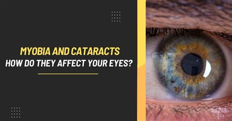 Image result for Vision Defects Myopia