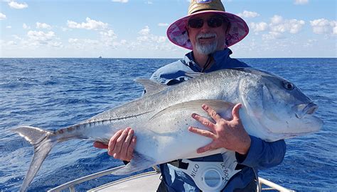 Image result for Reef Fishing Tips