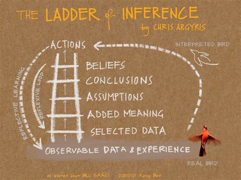 Image result for Ladder of Inference Reflective Loop