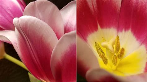 Image result for Spring Is Springing