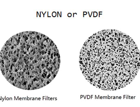 Image result for Bubble Point Filter Testing Wetted Membrane