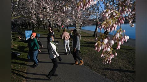 Image result for Spring First Movement