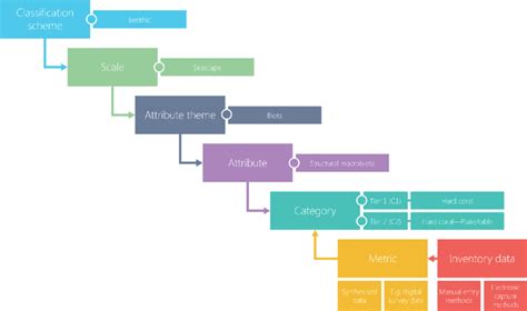 Image result for Classification Breakdown