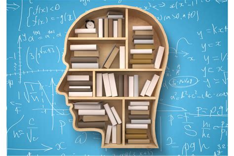 Image result for How Do Humans Learn