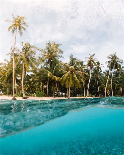 Image result for GoPro Beach Fun