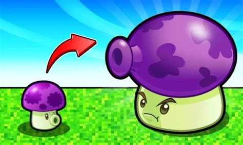 Image result for Plants Evolution Script