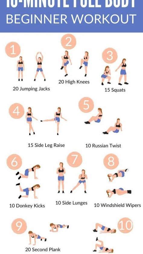 Image result for Daily Exercise for Beginners