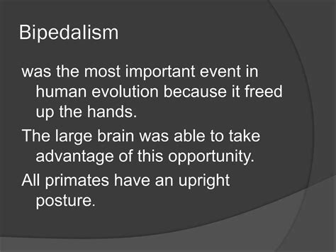 Image result for Life Science Gr 12 Human Evolution