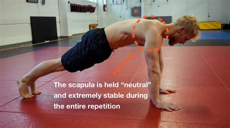 Image result for Scap Stability Exercises