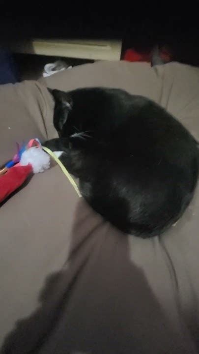 Image result for Infinite Loop YouTube